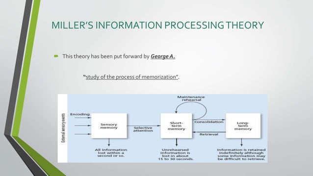 Information processing theory. PPT2.pptx | Data Storage and Warehousing | Computing