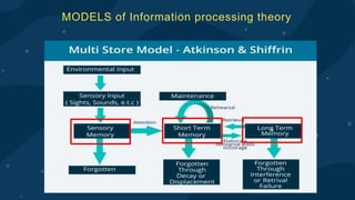 Information Processing Theory-Cog...pptx | Data Storage and Warehousing | Computing