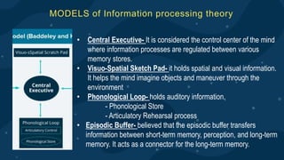 Information Processing Theory-Cog...pptx | Data Storage and Warehousing | Computing