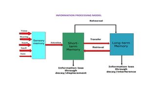 LEARNING THEORIES-INFORMATION PROCESSING THEORY | PPT