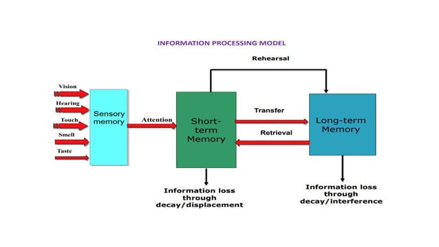 LEARNING THEORIES-INFORMATION PROCESSING THEORY | PPT