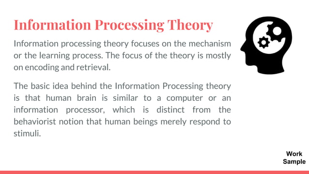 Information processing theory (Work sample) | PPTX