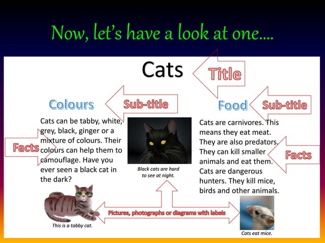 Information report | PPT