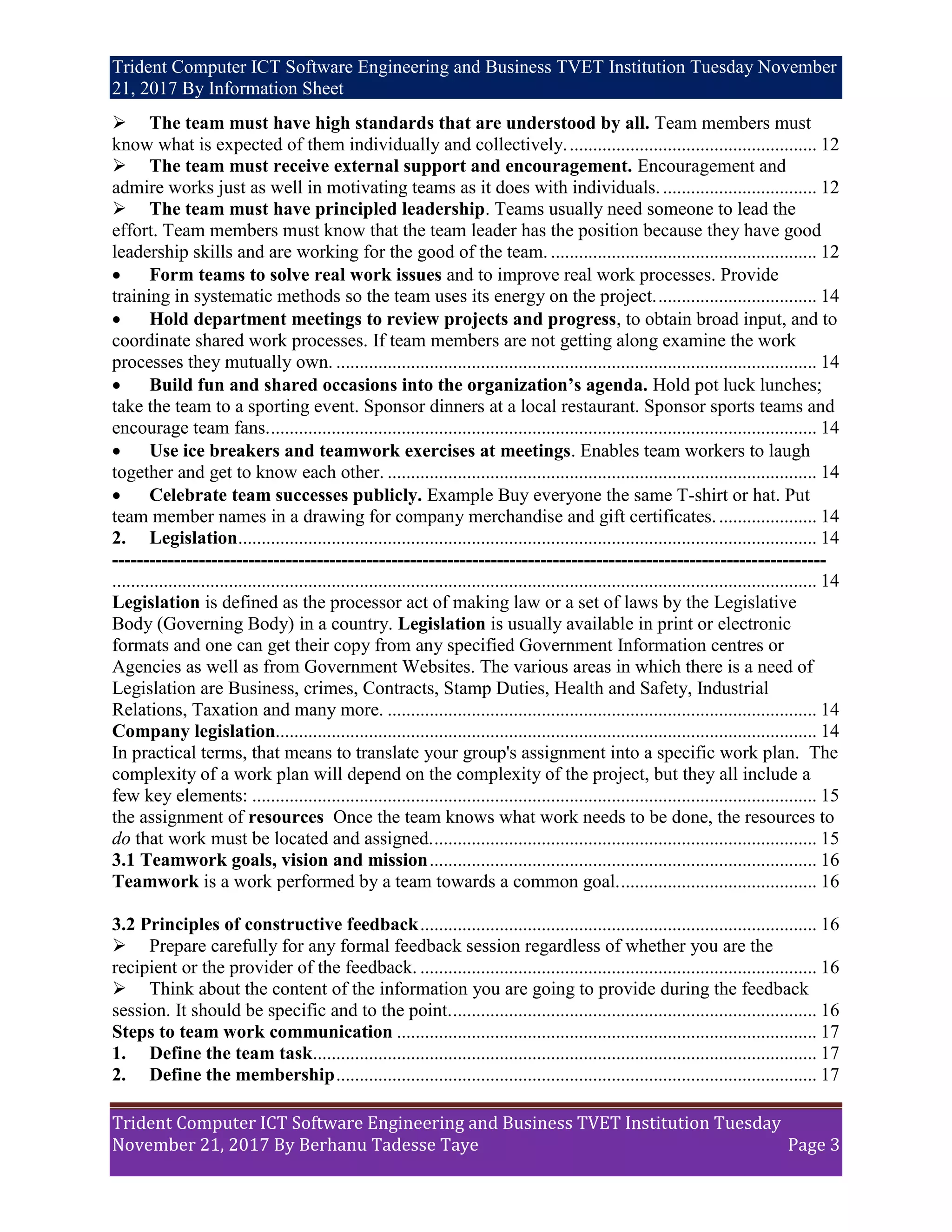 Information sheet work in team enviroment berhanu tadesse | PDF