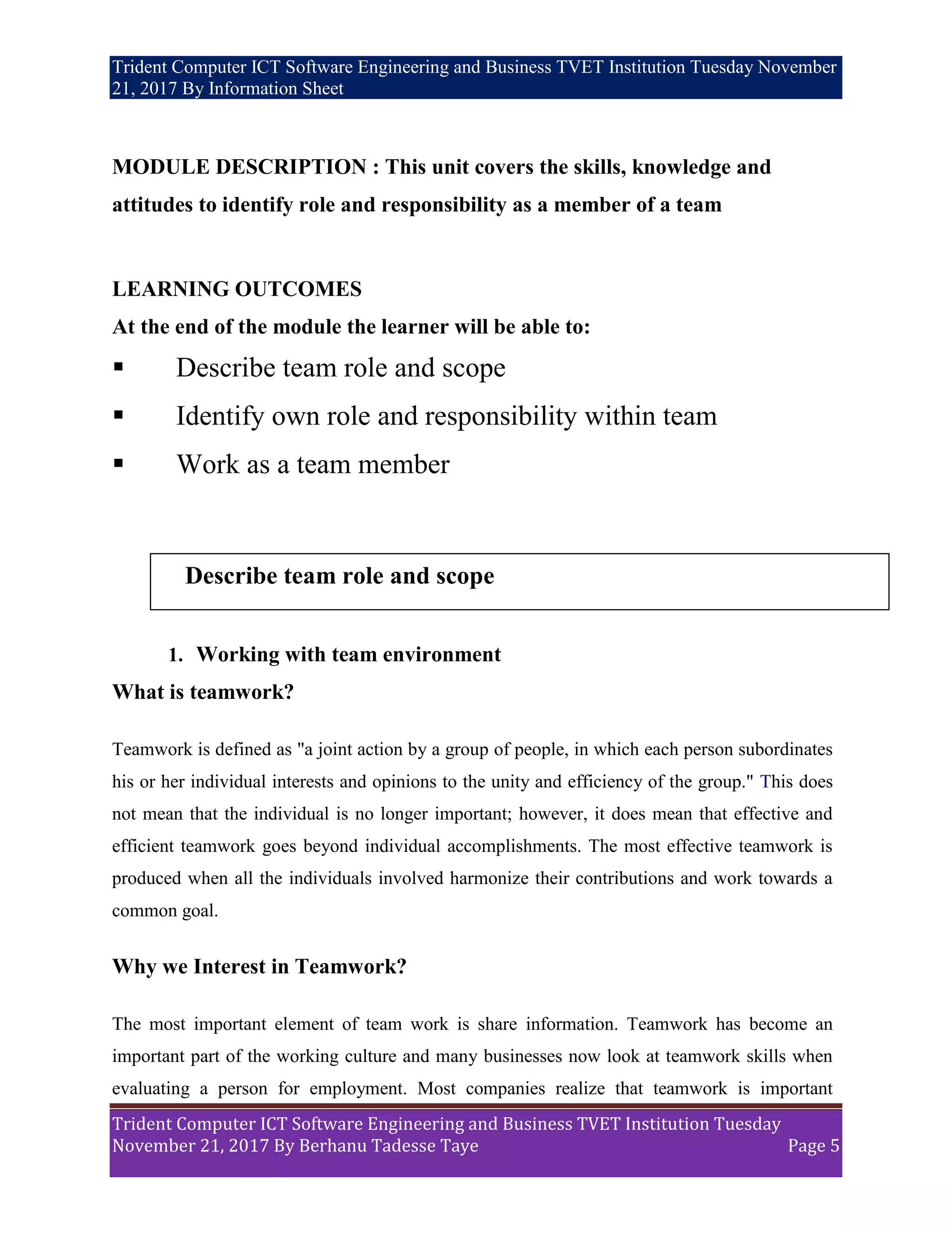 Information sheet work in team enviroment berhanu tadesse | PDF