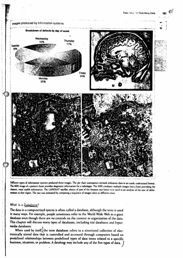 Information system - Steven Alter (Partial) PhotoCopied