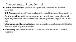 Information system audit | PPTX