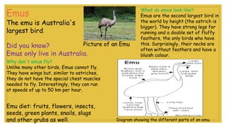 Information text | PPT