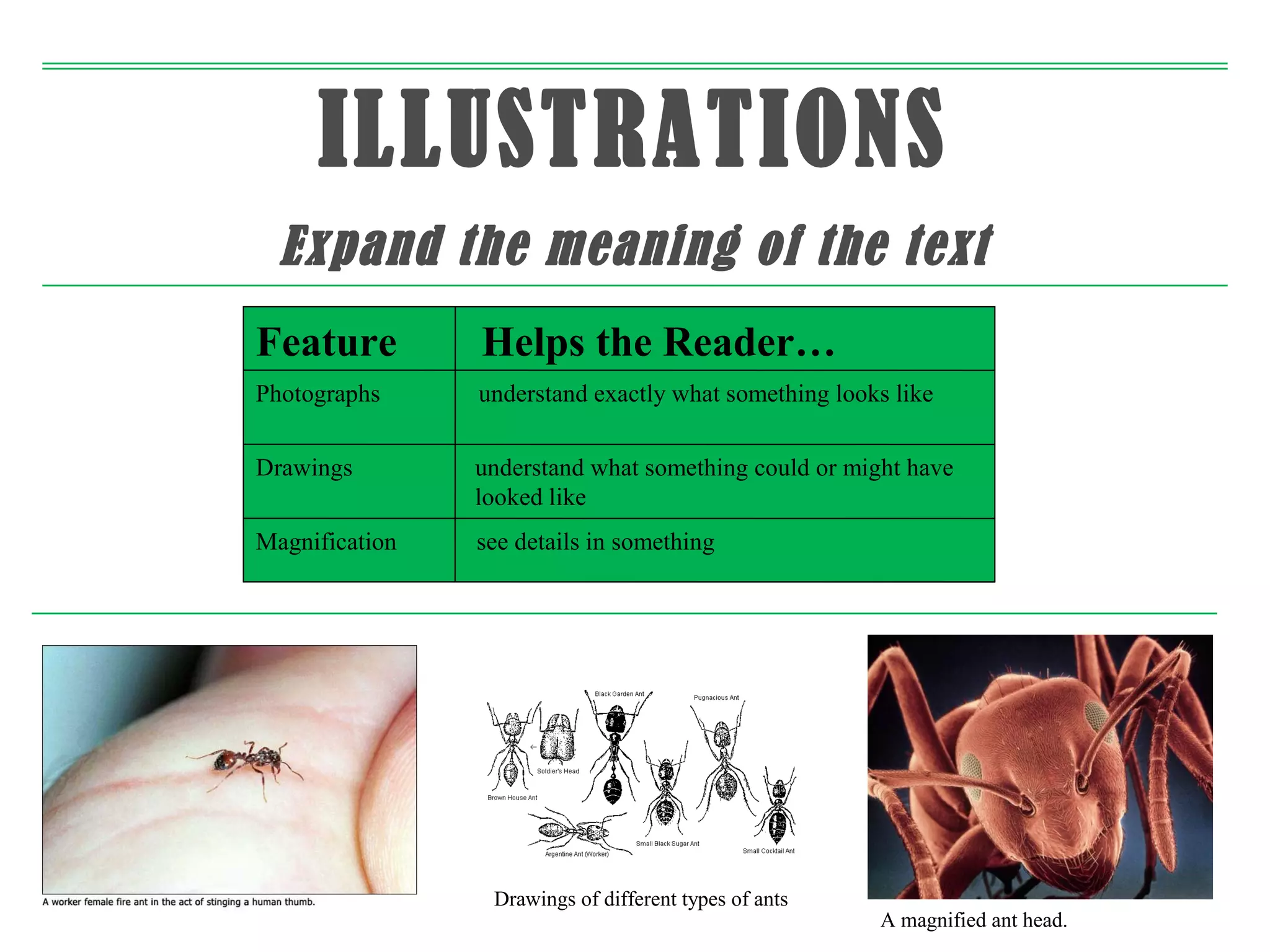 Information text features ppt | PPT