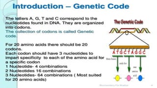 Genetic Information Transfer (Biology for Engineers) | PPTX