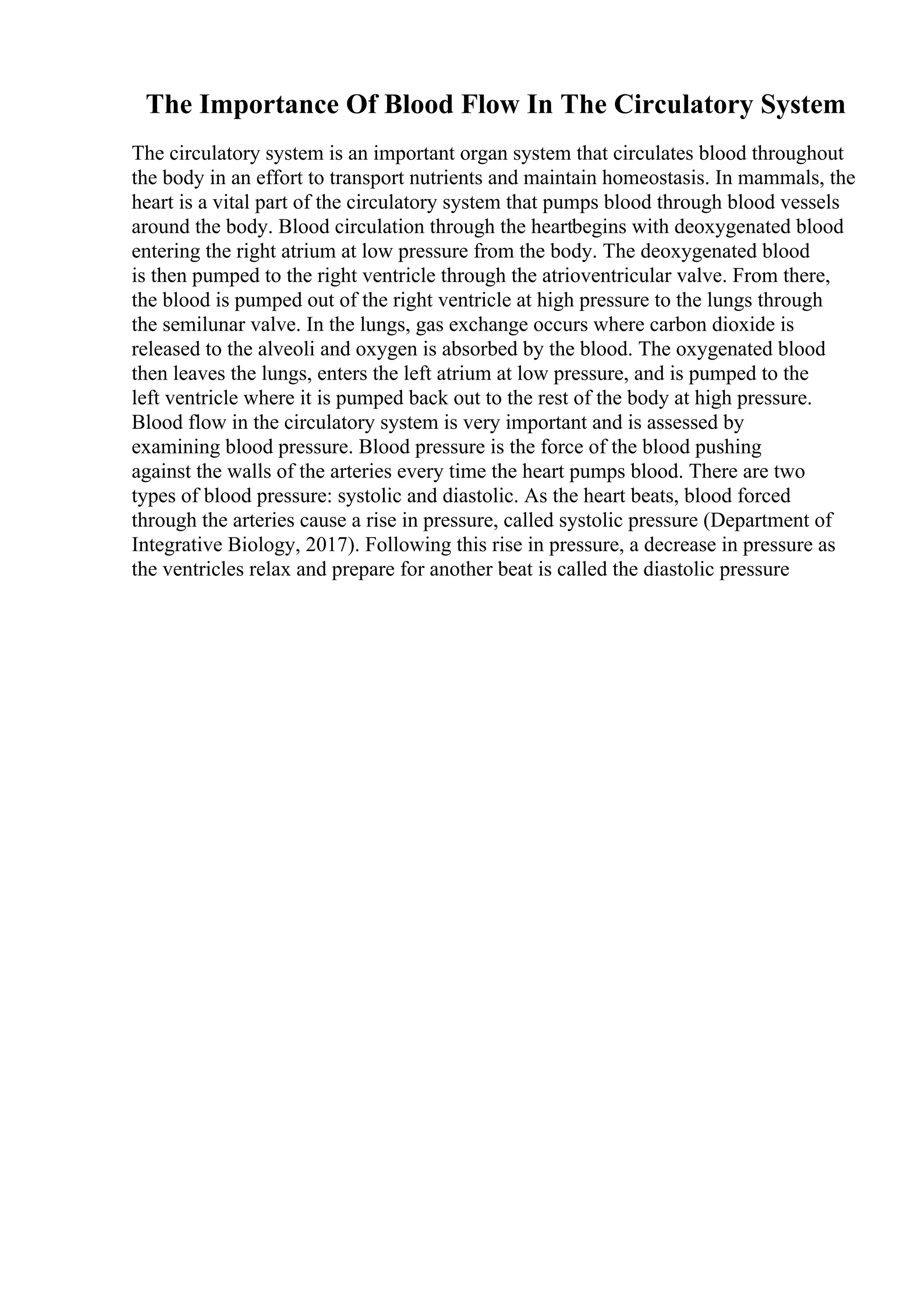 Informative Essay Example.pdf