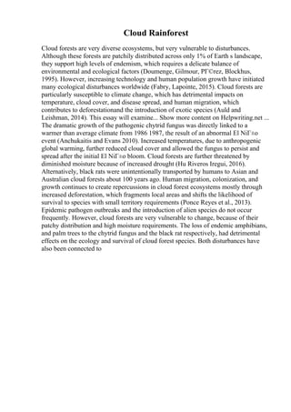 Informative Essay Outline Template | PDF