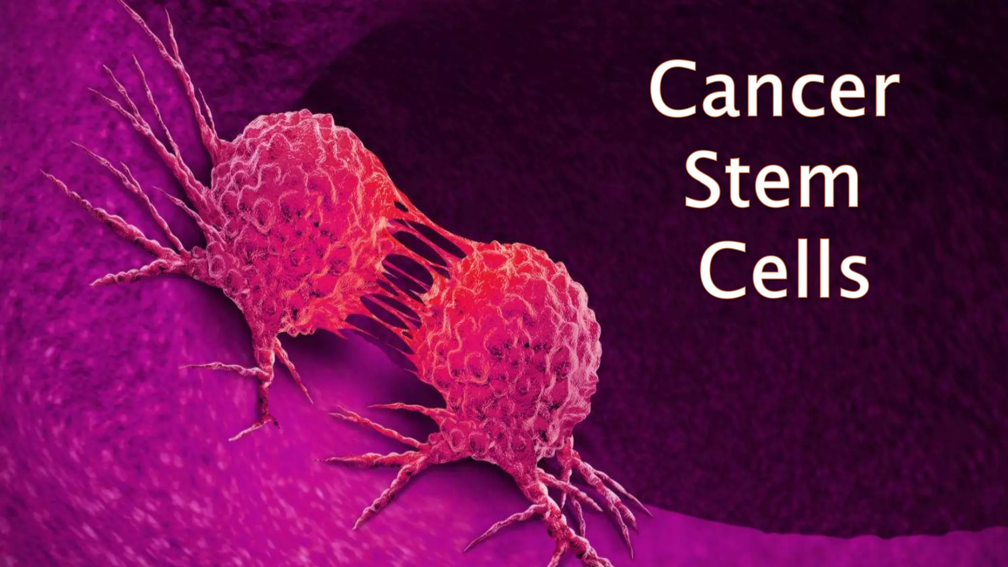 Cancer Stem Cells | PPTX