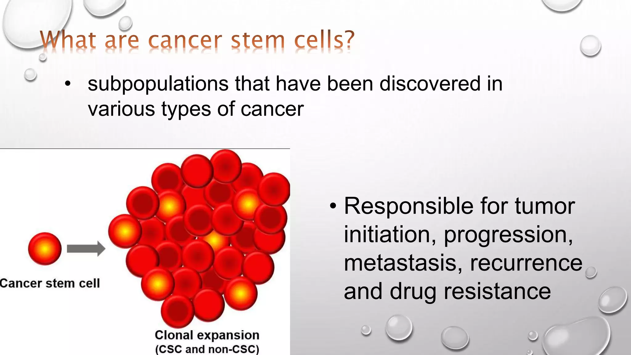 Cancer Stem Cells | PPTX