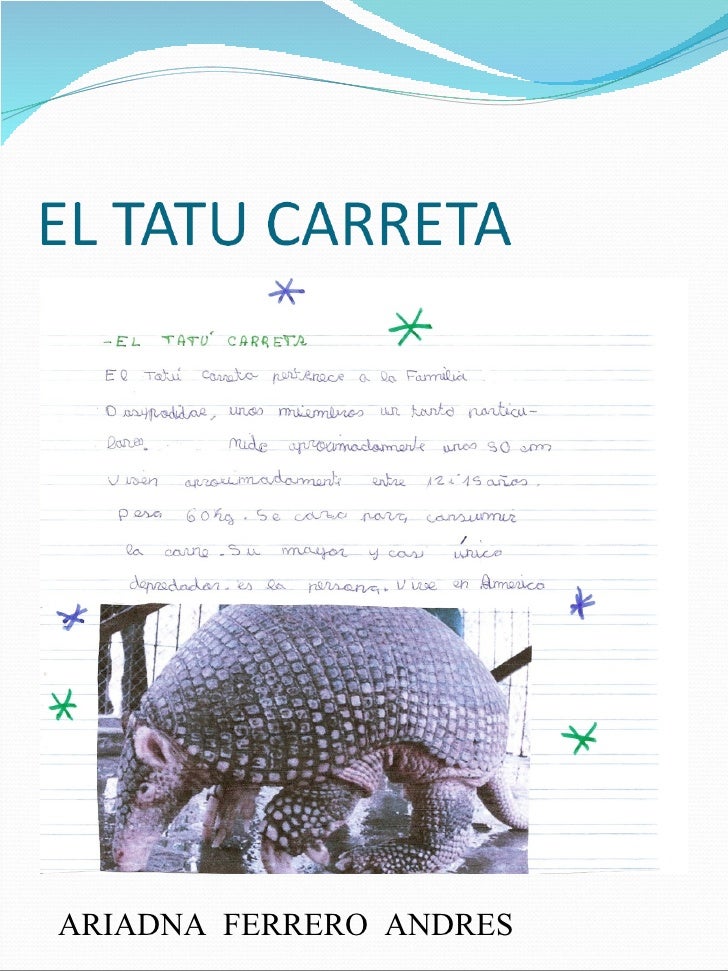 Informe Dels Animals