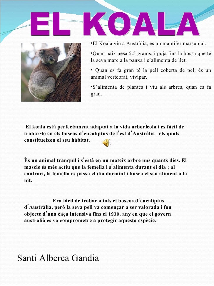 Informe Dels Animals