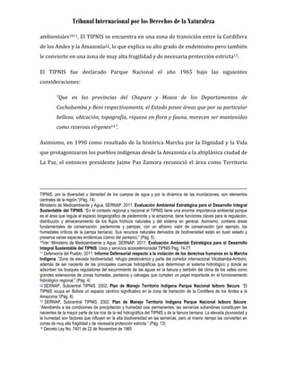 Informe sobre el caso Territorio Indígena y Parque Nacional Isiboro ...