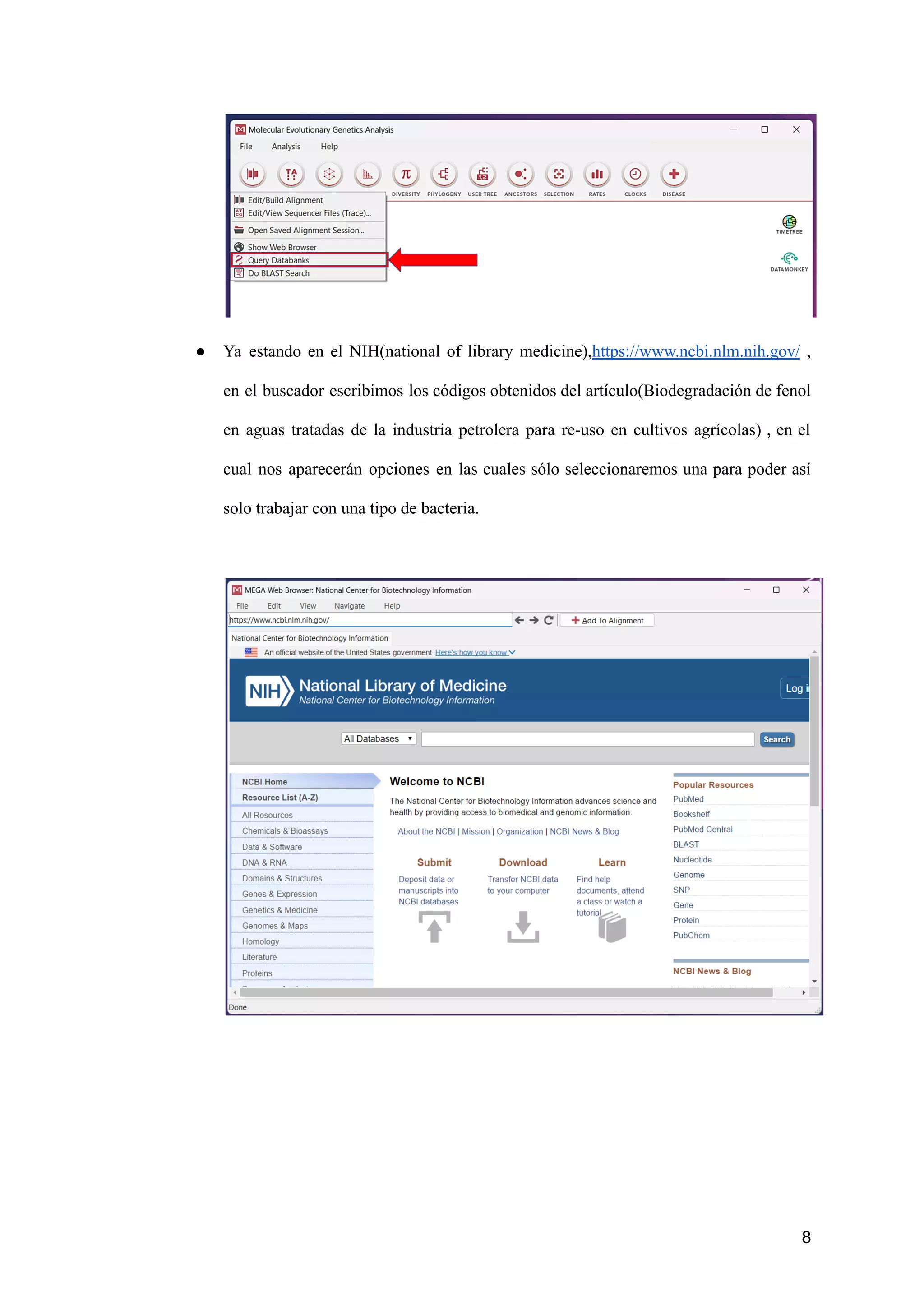 INFORME 1- ELABORACIÓN DE ENDOGRAMAS CON MEGA DNA (GRUPO 2A).pdf