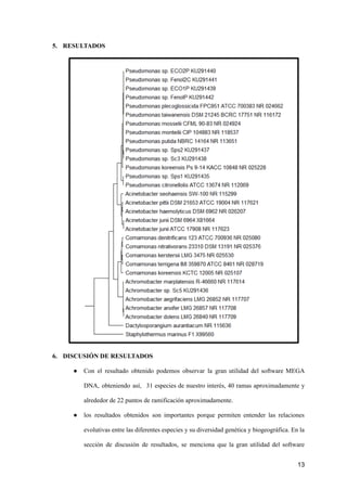 INFORME 1- ELABORACIÓN DE ENDOGRAMAS CON MEGA DNA (GRUPO 2A).pdf