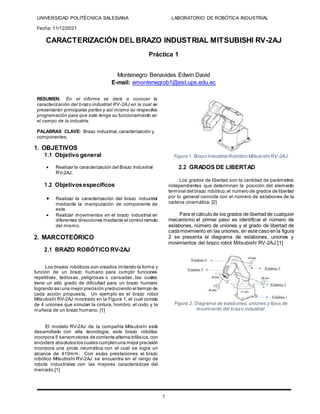 Informe1 montenegro | DOCX