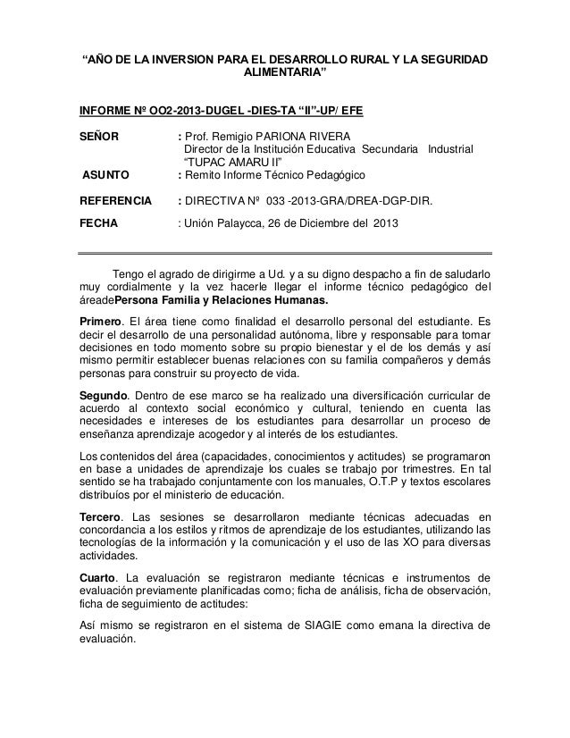 Ejemplo De Informe Academico