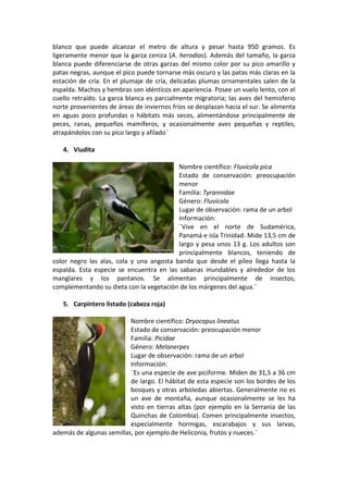 Informe%20N%c2%b03.docx aves sdel caribe | PDF
