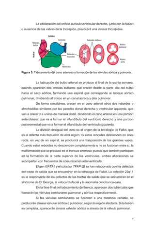 Informe 5º Grupo - SISTEMA CARDIOVASCULAR.pdf