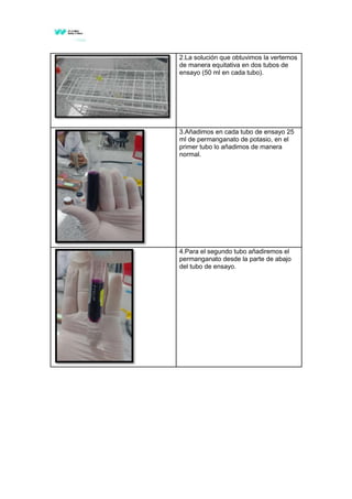 informe 6 metales de transición frágiles | DOCX