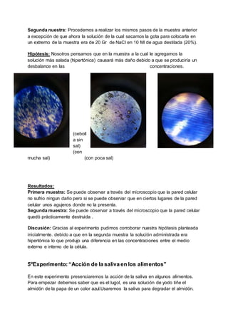 Informe biología 1 electivo | DOCX