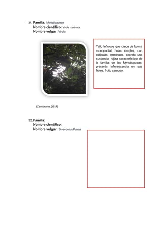 Informe bosque la perla grupo 4 | DOCX