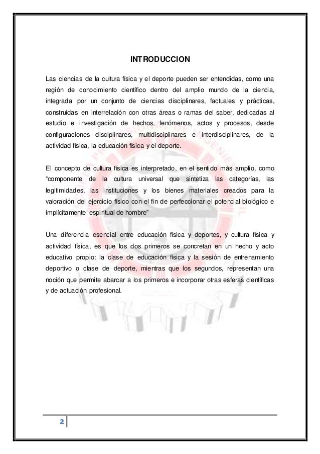 Introduccion De Un Informe