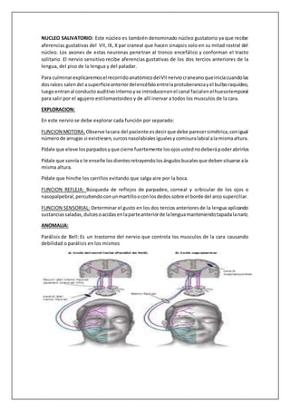INFORME PARES CRANEALES DEL I AL XII | DOCX