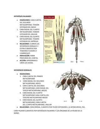 MUSCULOS DE LA MANO | DOCX