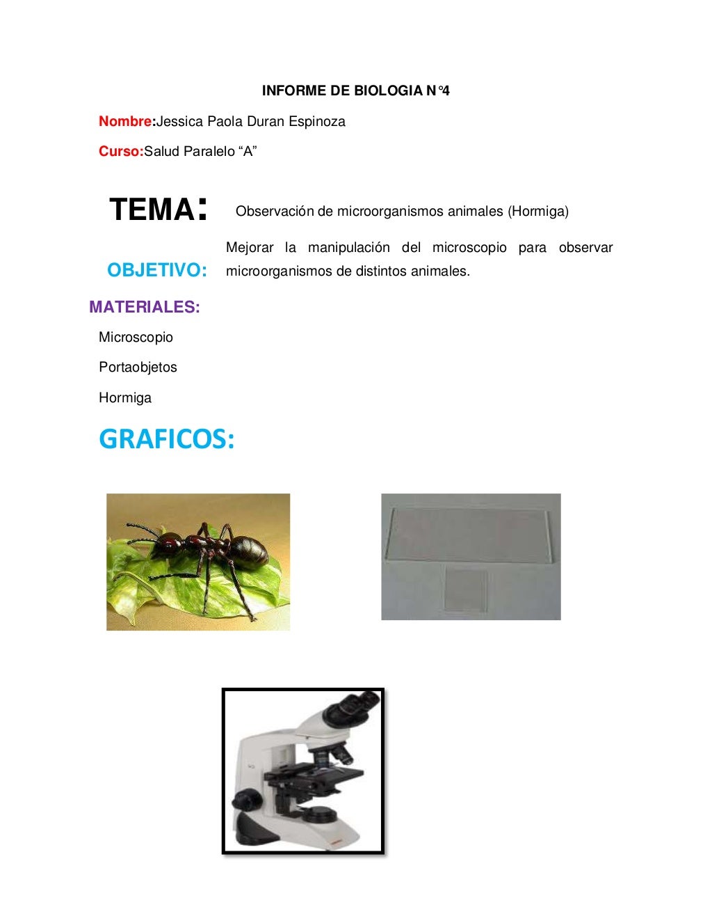 Informe De Laboratorio De Biologia