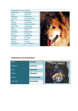Informe de biologia de proyecto de aula | DOCX