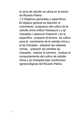 informe de calicata.docxhhhhhhhhhhjjjjhh | DOCX