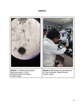 INFORME DE CIANOBACTERIAS-GRUPO 4.pdf