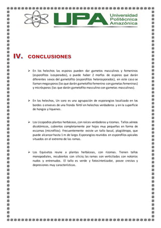 Informe de helechos | DOCX