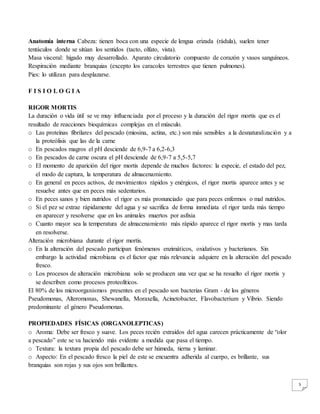 Informe sobre pescados y mariscos | DOCX