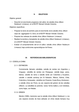Informe de medio ambiente de cebolla china | DOCX