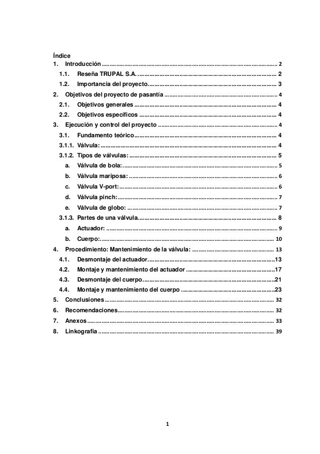 Informe De Pasantía