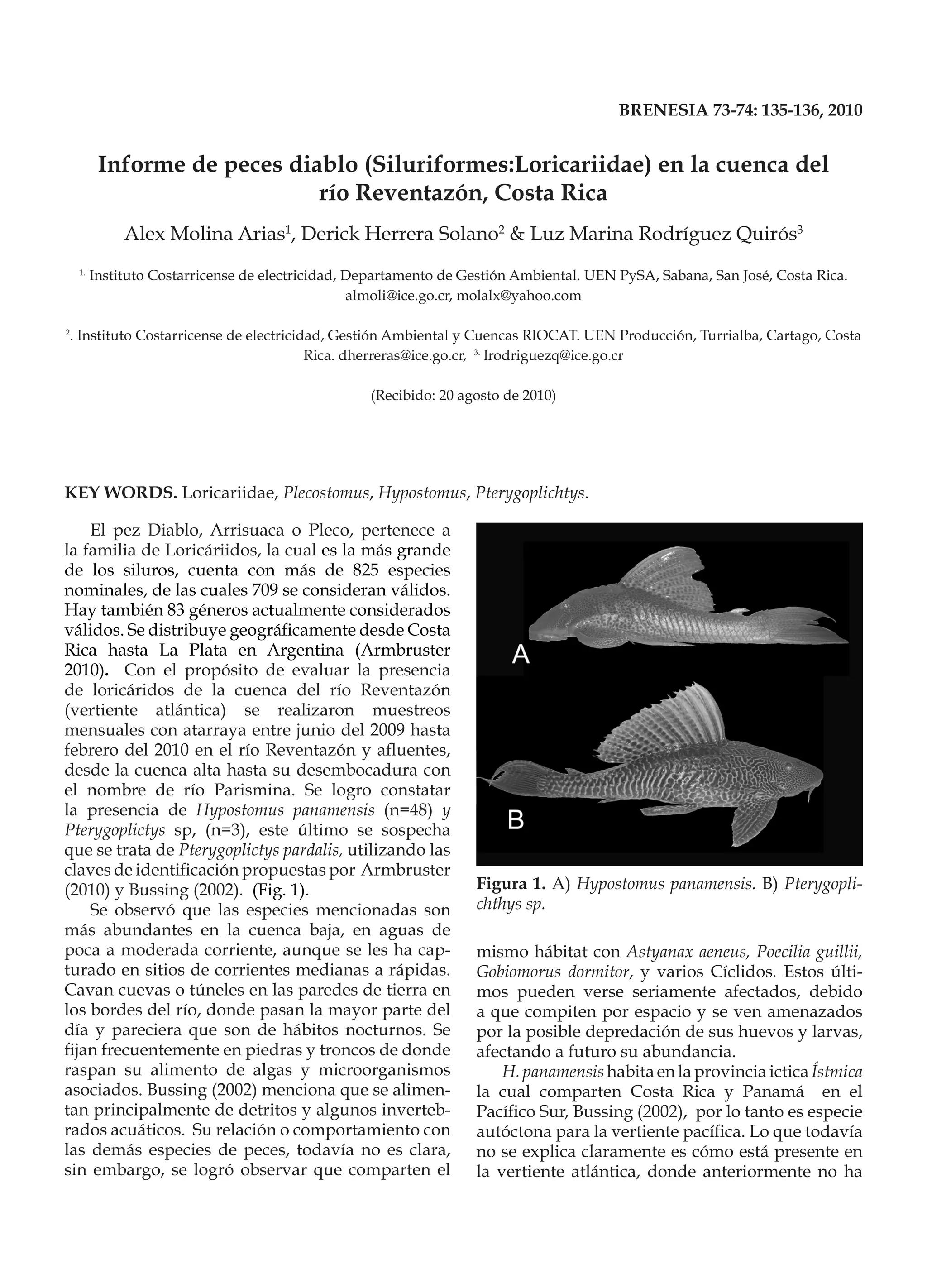 Informe De Peces Diablo Pdf