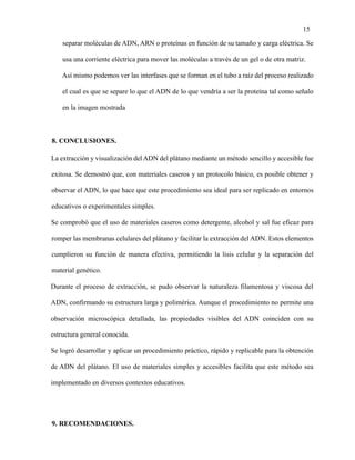 informe de extraccion de ADN de un platano.pdf