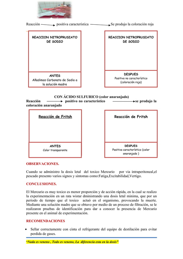 Informe de practica de toxi #7 intoxicacion con mercurio | DOC