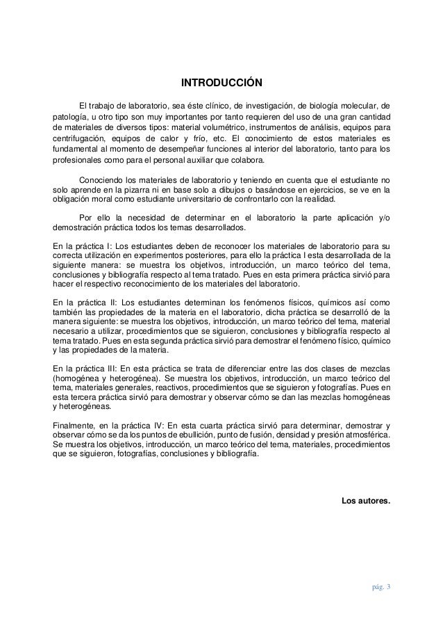 Introduccion De Un Informe