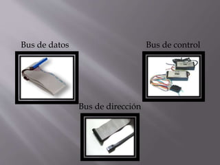Informe sobre Buses informaticos | PPTX