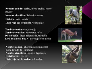 Informe de visita al zoológico | PPTX