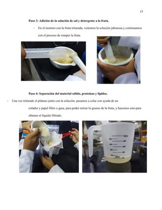 INFORME EXTRACCION DE ADN DE UN PLATANO-GRUPO B1.pdf