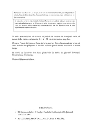 Informe final canavalia ensiformis l. | DOC