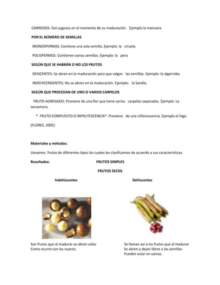 Informe de los frutos (Botánica) | DOCX